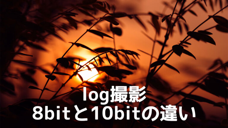 log撮影の「8bit / 10bit」でどれくらい違いが出るのか - ディレイマニア