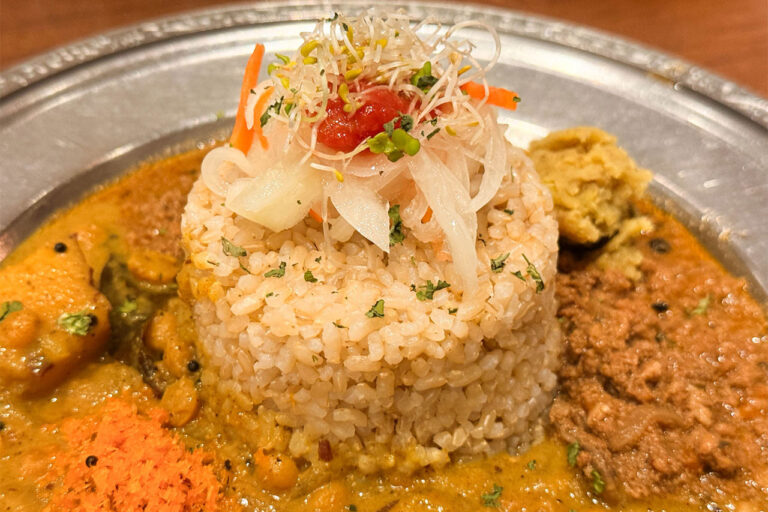 大阪駅「旧ヤム鐡道」が和風なインドカレーっていう感じで美味しかった - ディレイマニア